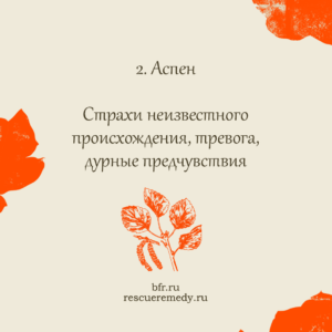 Капли "Цветы Баха" - натуральное успокоительное средство