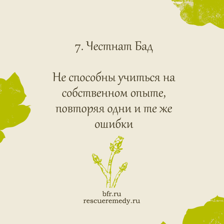 Капли "Цветы Баха" - натуральное успокоительное средство